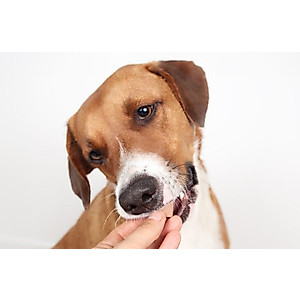 green paws Joint Health Supplement for Dogs - with Glucosamine, Chondroitin, MSM, and Omega-3's, Infused with Turmeric 120 Soft Chews- Advanced Mobility Chews - Joint Pain Relief - Hip & Joint Care