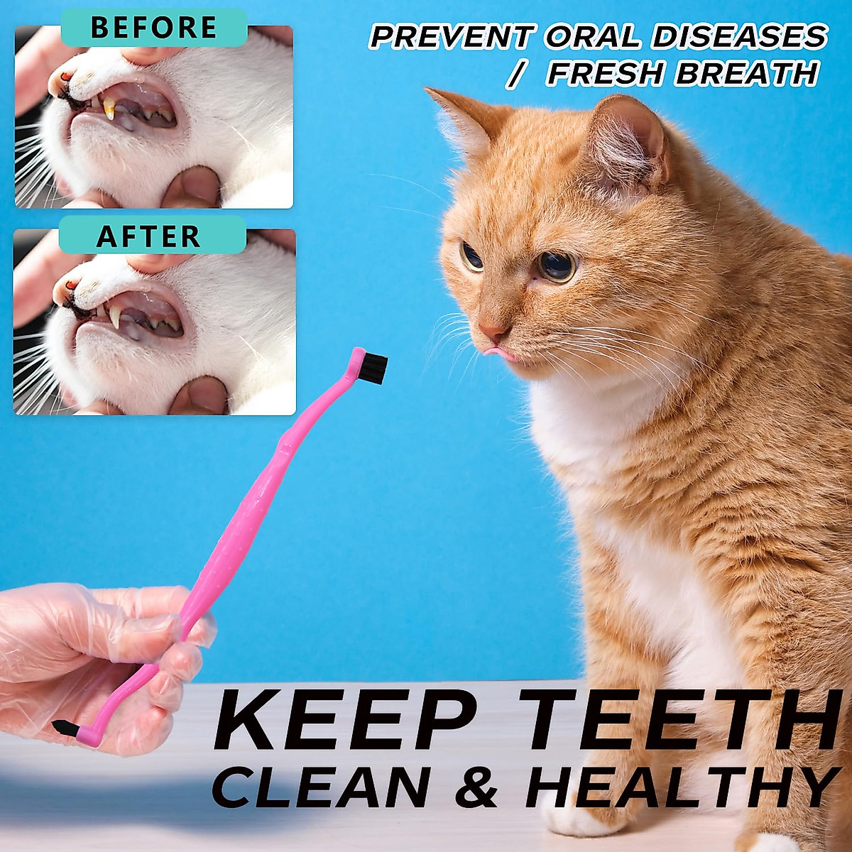 PenVinoo Dual Sided cat Toothbrush, Finger Toothbrush with Micro Head for Small to Large Dogs & Cats (Black, Small Round)