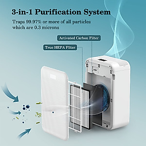 Air Purifier Replacement Filter, 3-in-1 True HEPA Filter Compatible with AP003 Air Purifier