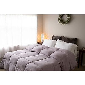 Pacific Coast Touch of Down Standard Size 2-Pillow Set with 2 Standard Size Pillowtex Pillow Protectors