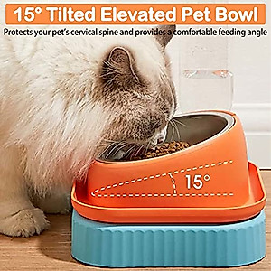 BNOSDM Triple Pet Bowl Cat Slow Feeder with Gravity Water Bottle Set, Detachable Stainless Steel Tilted Raised No Spill Dog Bowls for Cat Kitten Puppy