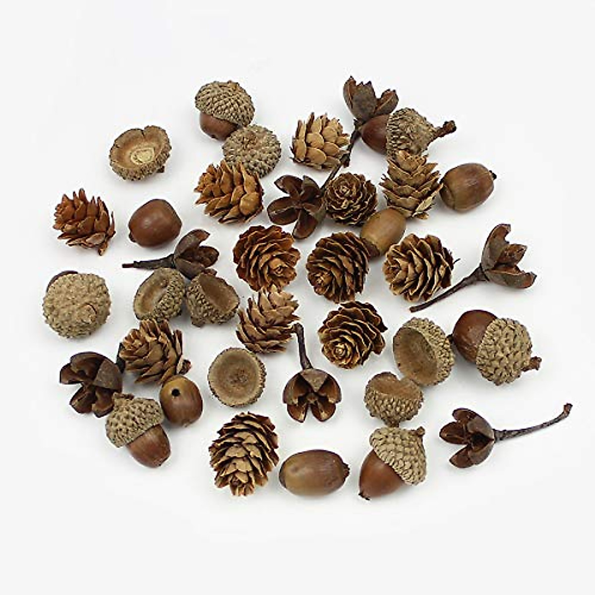 Queenbox 20Pcs Natural Dried Acorn Cap Craft DIY, Home Christmas Thanksgiving Decorative Fall Winter Holiday Home Decor