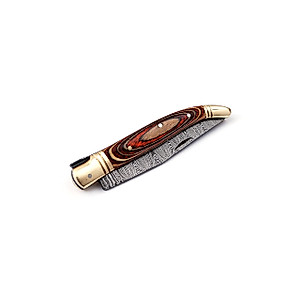 Damascus steel folding knife with leather sheath, 8.5 inches long laguiole pocket knife with 4 inches long Damascus steel Blade, 4.5 inches multi color wood scale with Brass bolster and pommel, Leather sheath included (Brown)