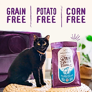 Stella & Chewy's Raw Coated Premium Kibble Cat Food – Grain Free, Protein Rich Meals – Cage-Free Duck Recipe – 5 lb. Bag