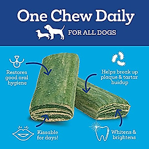 Vetality Brush Free Daily Dental Care Chews for Dogs | Cleans Teeth and Freshens Breath | 30 Count | B.E.S.T. Complex Provides Complete Oral Cleaning and Tartar Control