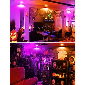 JandCase BR30 Halloween Light Bulbs, E26 Base Halloween Purple & Orange Indoor Flood Light Bulbs, Orange Purple Flood Light Bulbs for Halloween Decoration,11W(65W Equivalent),Not-Dimmable, 2 Pack