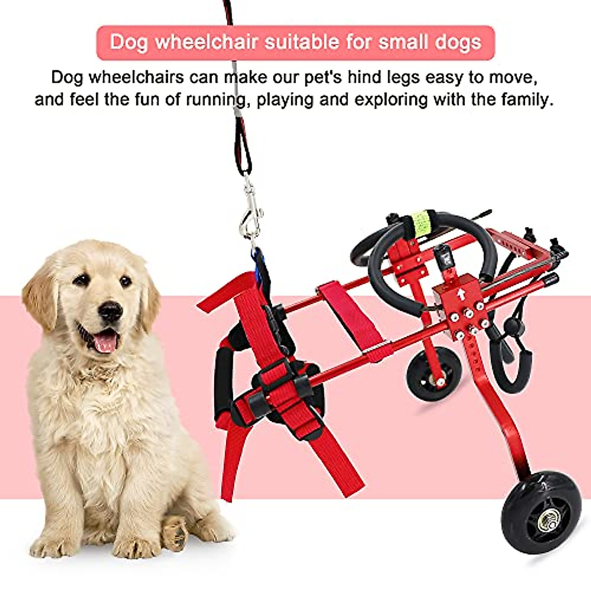 HobeyHove Adjustable Dog Wheelchair for Back Legs，Pet/Doggie Doggy Wheelchairs with Disabled Hind Legs Walking (XS-Red)