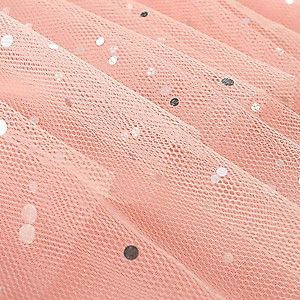 Amberetech Toddler Baby Girls Longsleeve Dress Tulle Tutu Long Sleeve Party Casual Dresses for3-4 Years