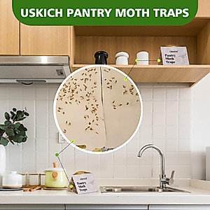 USKICH Pantry Moth Traps with Strength Pheromones Moths Killer Safe and Effective for Food and Cupboard Non-Toxic Sticky Glue Trap for Pantry Pests-10Pack
