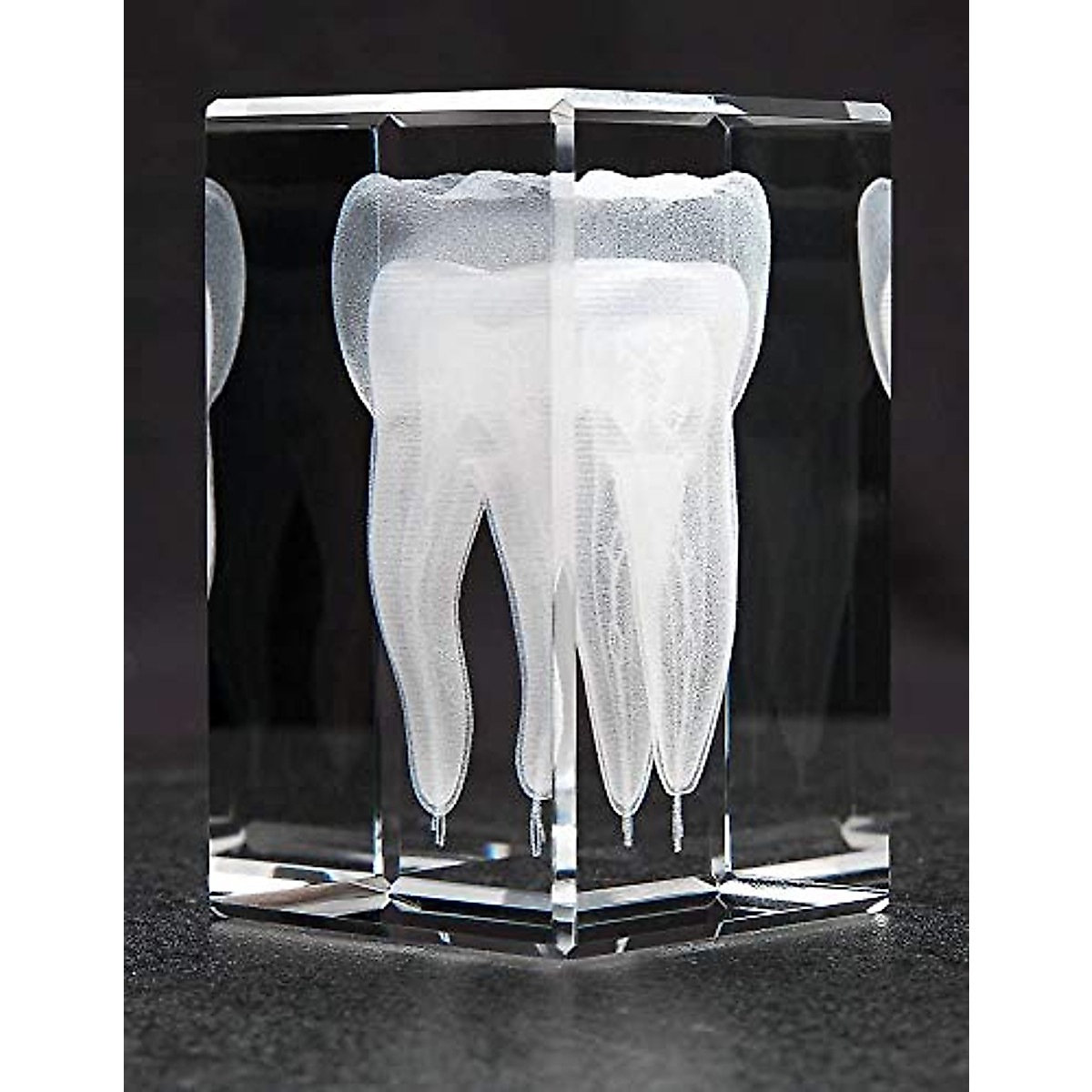 Anatomy Crystal (Tooth, 1 Pound)
