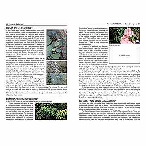 Foraging for Survival: Edible Wild Plants of North America