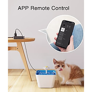 GHome Smart Smart Power Strip, 3 USB Ports and 3 Individually Controlled Smart Outlets, WiFi Surge Protector, Smart Home Office Cruise Ship Travel Multi-Plug Extender Flat Plug, 10A, Black (WP9-BK)