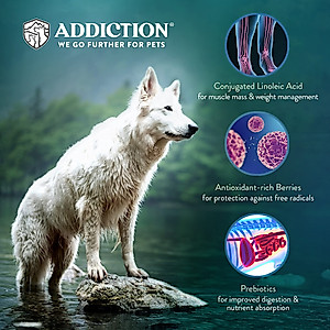Addiction Homestyle Venison & Cranberry Dinner Raw Alternative Dog Food - Gently Air-Dried Complete Meal or Dog Food Topper for Digestive and Skin and Coat Health, 2 lb