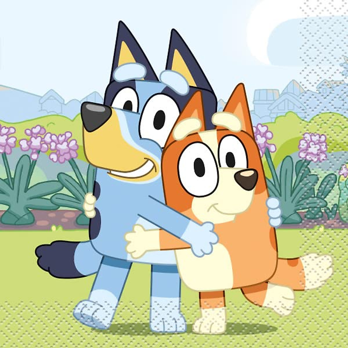 Unique Bluey Birthday Party Supplies Bundle includes Dessert Cake Plates, Napkins, Table Cover, Happy Birthday Banner (Bundle for 16)