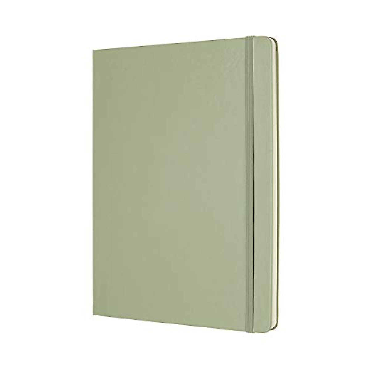 Moleskine Classic Notebook XL Plain Willow Green Hardcover (8055002855150)