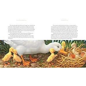 Classic Storybook Fables: Including "Beauty and the Beast" and Other Favorites