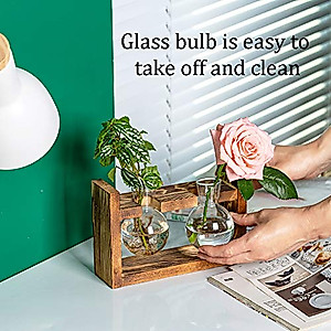 Glasseam Propagation Stations Plant Terrarium, Glass Bud Bulb Vase with Wooden Stand Propagate Station Propogation Jars Desktop Hydroponic Planter Air Plants Containers Tabletop for Indoor Flower