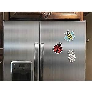 WIRESTER Fridge Magnet Decoration for Kitchen Refrigerator, Christian Bible Verses Philippians 4:13