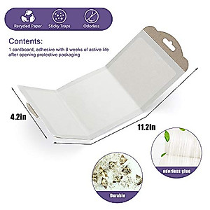 ECOTASTIC Clothing Moth Traps - 11 Count - Foldable Moth - Eco-Friendly Hassle Control - Pheromone Technology - Closet Mothballs - Wood/Carpet/Clothes