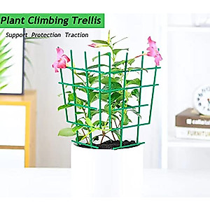 6-Piece Pack Trellis for Potted Plants, Small Garden Trellis for Climbing Plants Outdoor, Plastic Trellis for Potted Plants Indoor, DIY Climbing Trellis Houseplant Supports 12 X 6.5 inches…
