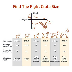 Amazon Basics Foldable Metal Wire Dog Crate with Tray, Single Door, 42 Inch