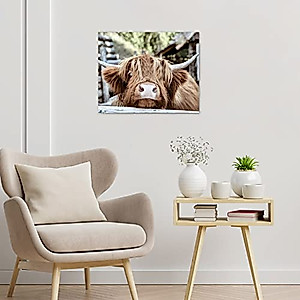 LB Highland Cow Canvas Wall Art Funny Farm Brown Bull Canvas Prints Rustic Animal Cattle Artwork Country Modern Painting Picture Poster for Bathroom Bedroom Living Room Wall Decor,16x12 Inch
