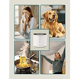 WELOV P100 Mini/P100 Mini Pro Air Purifier Replacement Filter, H13 True HEPA High-Efficiency Activated Carbon Filter for Pet Hair Dander Wildfire Smoke Pollen Dust Mite Kitchen Smells Odor