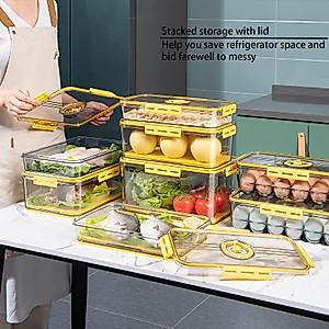 Egg Holder,Clear Egg Tray Storage Box with Lid and special buckle,Fridge Containers Set,Food Storage Container Refrigerator Organizer Bins Stay Fresh,Stackable Portable Storage Containers