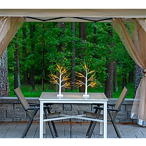 Easter Tree Lighted Birch Tree with Led Lights | USB/Battery Operated | Easter Egg Tree Tabletop Decorations, 2FT 24 LEDs Warm White Lighted Trees for Decoration Inside 2Pk