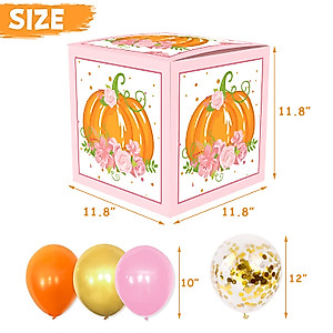 Fall Pumpkin First Birthday Balloon Boxes One Box Blocks Decorations Thanksgiving Birthday Cake Smash Party Photo Props Backdrop (Pink)