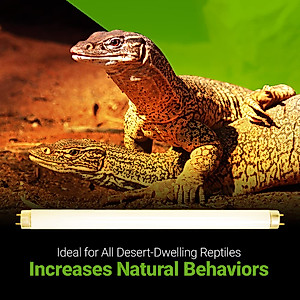 2 Pack 18W-Watt T8 Reptile Light Desert UVA UVB 10.0 Fluorescent Tube - 24" Terrarium Hood Light Suitable for Desert Reptile Lizards Bearded Dragons & More Promotes Natural Behavior UVB Bulb (24 Inch)