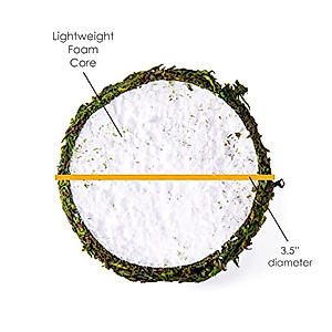 Ka Home Decorative Green Moss Balls Set of 6 - Natural Orbs for Centerpiece, Tray, Bowl or Table Decorations - Artificial Moss Decor Spheres - 3.5 inch Each