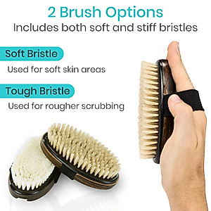 Vive Dry Brush Set for Lymphatic Drainage (3 Pieces) - Brushing Scrubber for Exfoliating, Body Cellulite and Skin Massage - 100% Natural Boar Hair Bristles, 14” Long Dark Wooden Handle w/Storage Bag