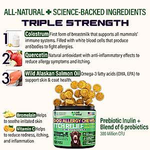 Vet Treat - Dog Allergy Relief Chews -Made in USA- Probiotics & Salmon Oil - Itch Relief, Hot Spots, Dry Skin, Seasonal Allergy - Anti Itch Skin & Coat Supplement for Dogs - 120 Soft Treats (Chicken)