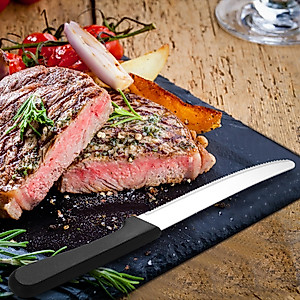 Zhehao 200 Pcs Steak Knives 8.39 Inches Stainless Steel Steak Knives Serrated Blade Steak Knife Set with Round Tip Classic Serrated Knife with Plastic Handle for Restaurant Kitchen, 4.72 Inch Blade