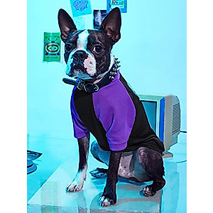 QWINEE Y2K Dog Tee Shirt Butterfly Print Colorblock Puppy T Shirt Soft Stretchy Shirts Pet Apparel for Small Medium Cats Dogs Black L