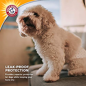 Arm & Hammer For Pets Male Dog Wraps, Size Small, 12 Count | Ultra-Absorbent, Adjustable Male Dog Diapers with Leak-Proof Protection and Wetness Indicator | Baking Soda for Odor Control