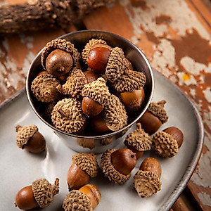 menolana 30 Pieces Acorns, Natural Dry Acorns,
