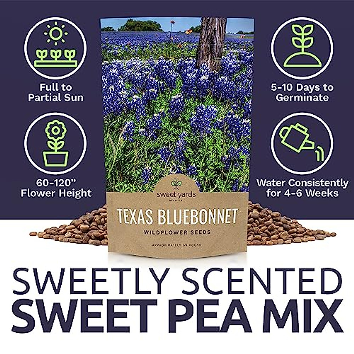 Texas Bluebonnet Wildflower Seeds - Bulk 1/4 Pound Bag - Over 4,000 Native Seeds - Texas State Flower!