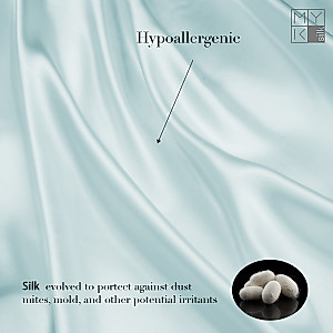 MYK 100% Pure Natural Mulberry Silk Pillowcase, 19 Momme with Cotton Underside for Sensitive Skin, Travel Size (12"x19"), Light Blue