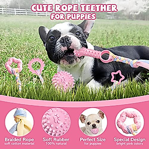 ABRRLO Puppy Toys 6 Pack Puppy Chew Toys for Teething Small Breed Dog Toys for Small Puppies Cute Pink Small Dog Chew Toys Soft Rubber Durable Puppy Teething Toys Interactive Pet Dog Toys Set