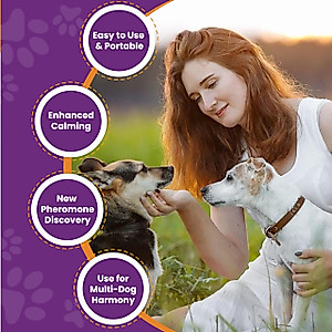 BKRMART Dog Pheromone Calming Diffuser 5 in 1 Appeasing Pet Pheromones Diffuser to Calm Kit 1 Diffuser & 4 Pheromone 48ml Refill for Anxiety Relief Reduce Barking Aggression Fighting Stress