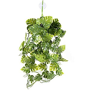 Pangea Hanging Plants Deluxe Decor for Reptile Enclosure Habitat (Green)