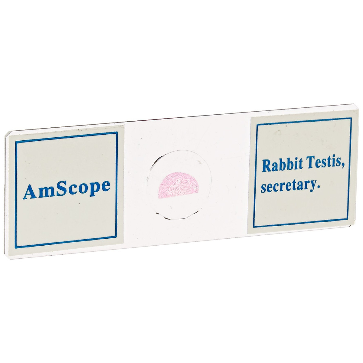 AmScope PS50A Prepared Microscope Slide Set for Basic Biological Science Education, 50 Biology and Pathology Slides, Includes Fitted Wooden Case