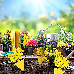 50 Pack Yellow Sticky Traps for Indoor Outdoor House Plant Flying Insect Catcher Like Fungus Gnats, Whiteflies, Aphids, Thrips, Other Flying Plant Insects