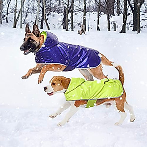 Illumifun Dog Raincoat with Hood - Waterproof Reversible Dog Coats, Lightweight Dog Rain Jacket for Small Medium Large Dogs (X-Large)