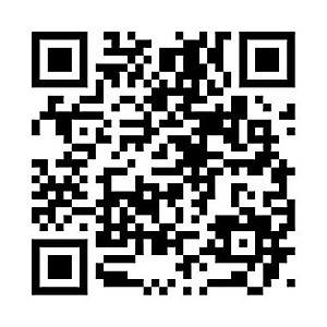 Schlagwerk CFL12 Cajon Flap - Large