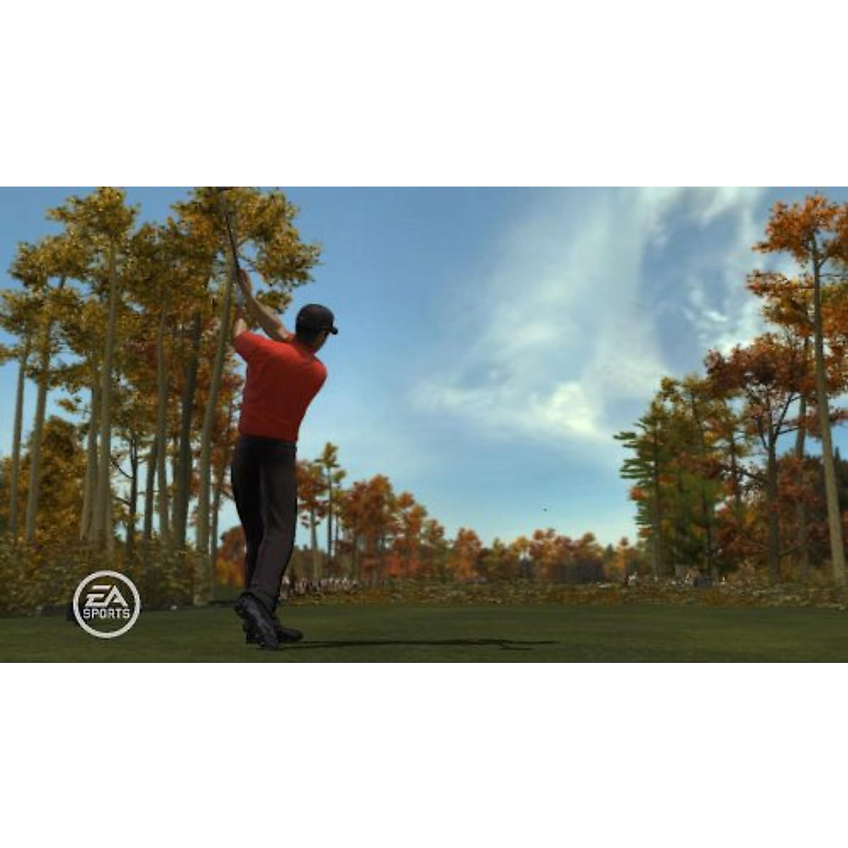 Tiger Woods PGA Tour 08