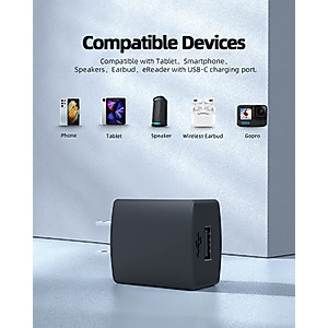 USB C AC Charger Fit for Samsung Earbuds Galaxy Buds+ SM-R175,Galaxy Buds SM-R170, Galaxy Buds Live SM-R180, AKG N700NC,Treblab Hd-Max Wireless Bluetooth Earbuds Power Cord Adapter Supply