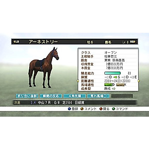 Champion Jockey: G1 Jockey & Gallop Racer [Japan Import]